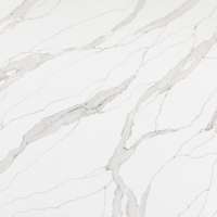 Luxury Quartz Countertops MetroWest | Quartz/Engineered Stone | Onyx ...