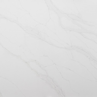 Luxury Quartz Countertops MetroWest | Quartz/Engineered Stone | Onyx ...