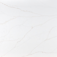 Luxury Quartz Countertops MetroWest | Quartz/Engineered Stone | Onyx ...