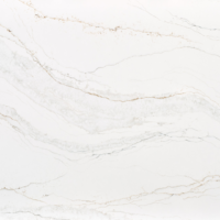Luxury Quartz Countertops MetroWest | Quartz/Engineered Stone | Onyx ...